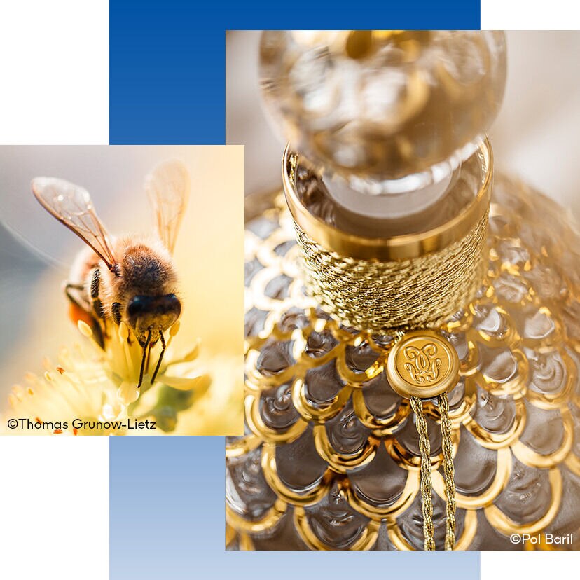 La Maison Guerlain · Lee Ufan Arles · GUERLAIN ⋅ GUERLAIN