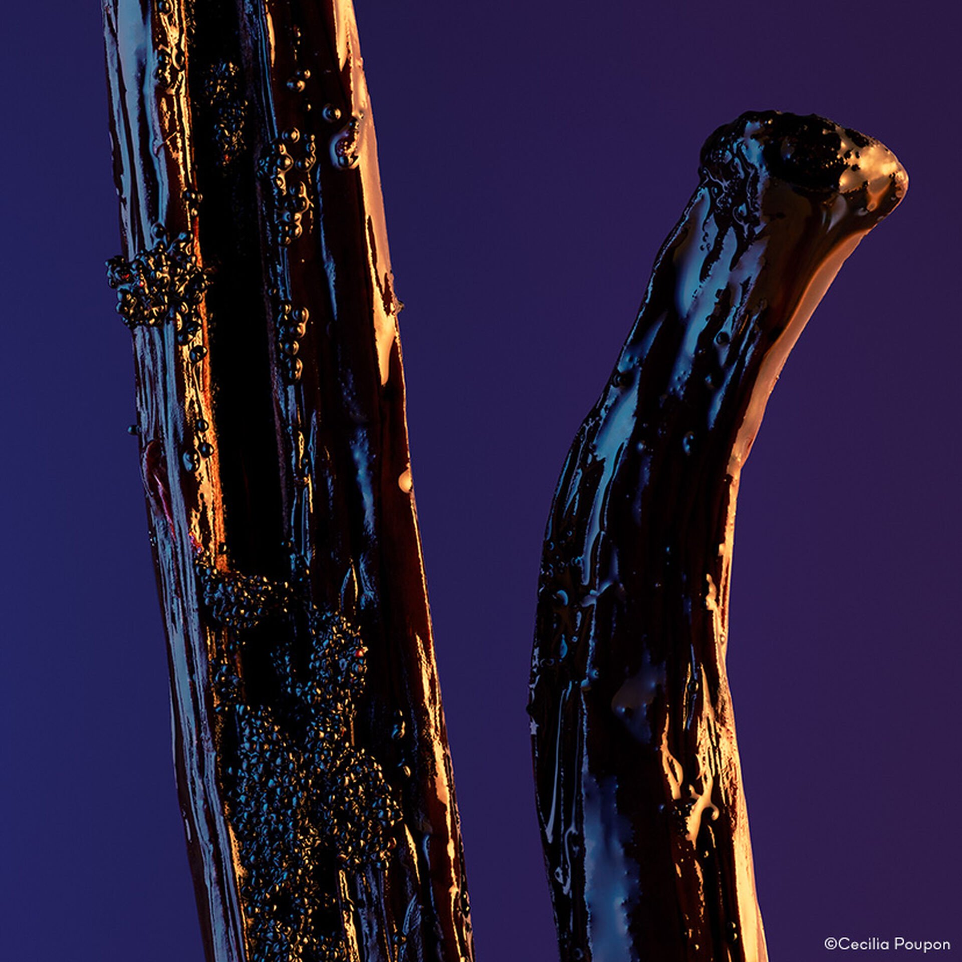 La Maison Guerlain · Métier d'Art of Fragrance · GUERLAIN ⋅ GUERLAIN