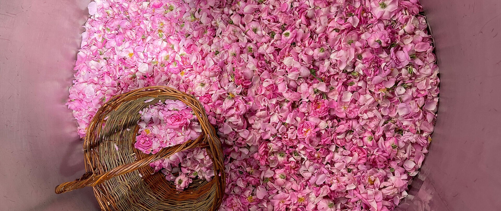 La Maison Guerlain · Creators · GUERLAIN ⋅ GUERLAIN