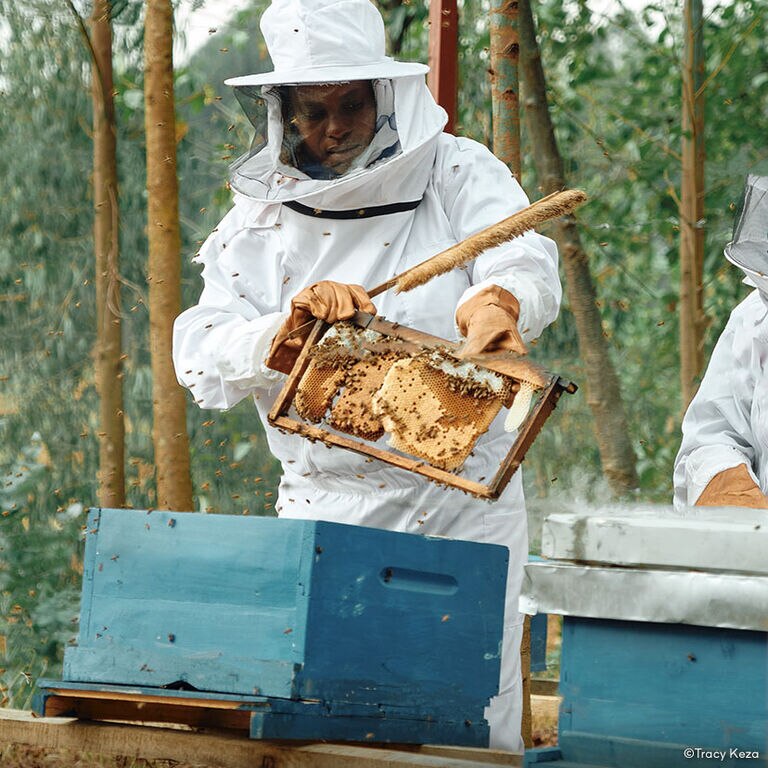 “WOMEN FOR BEES” heads to Rwanda . GUERLAIN ⋅ GUERLAIN