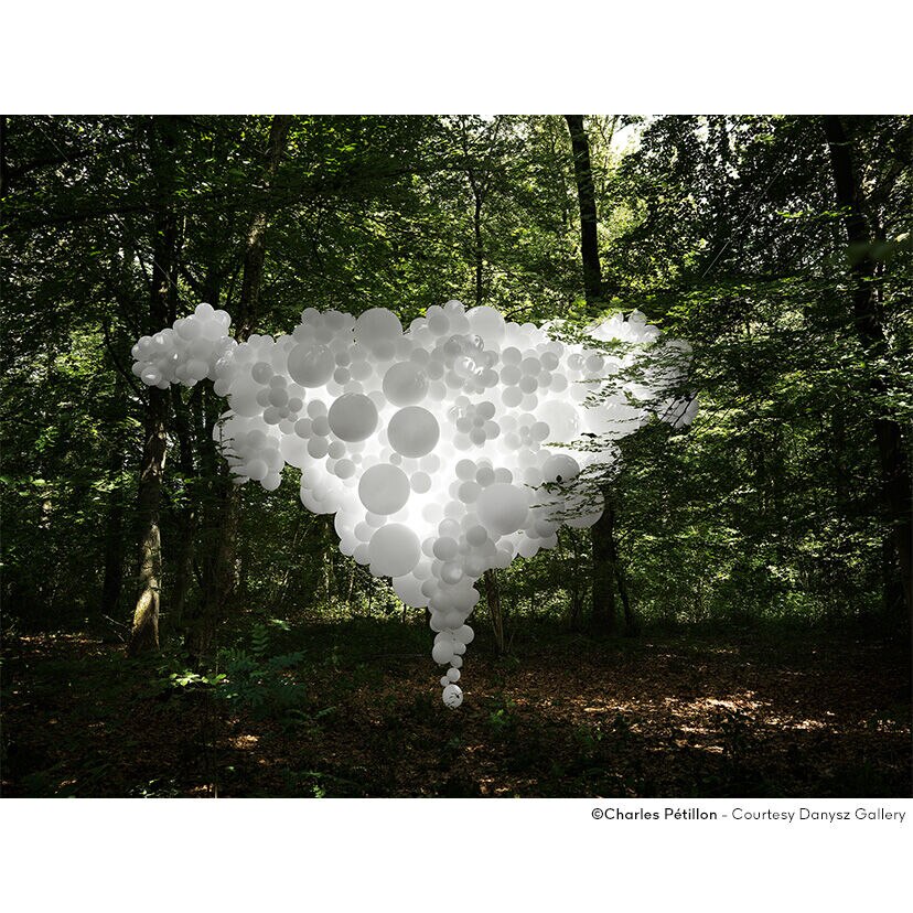 Exposition Charles Petillon ⋅ GUERLAIN