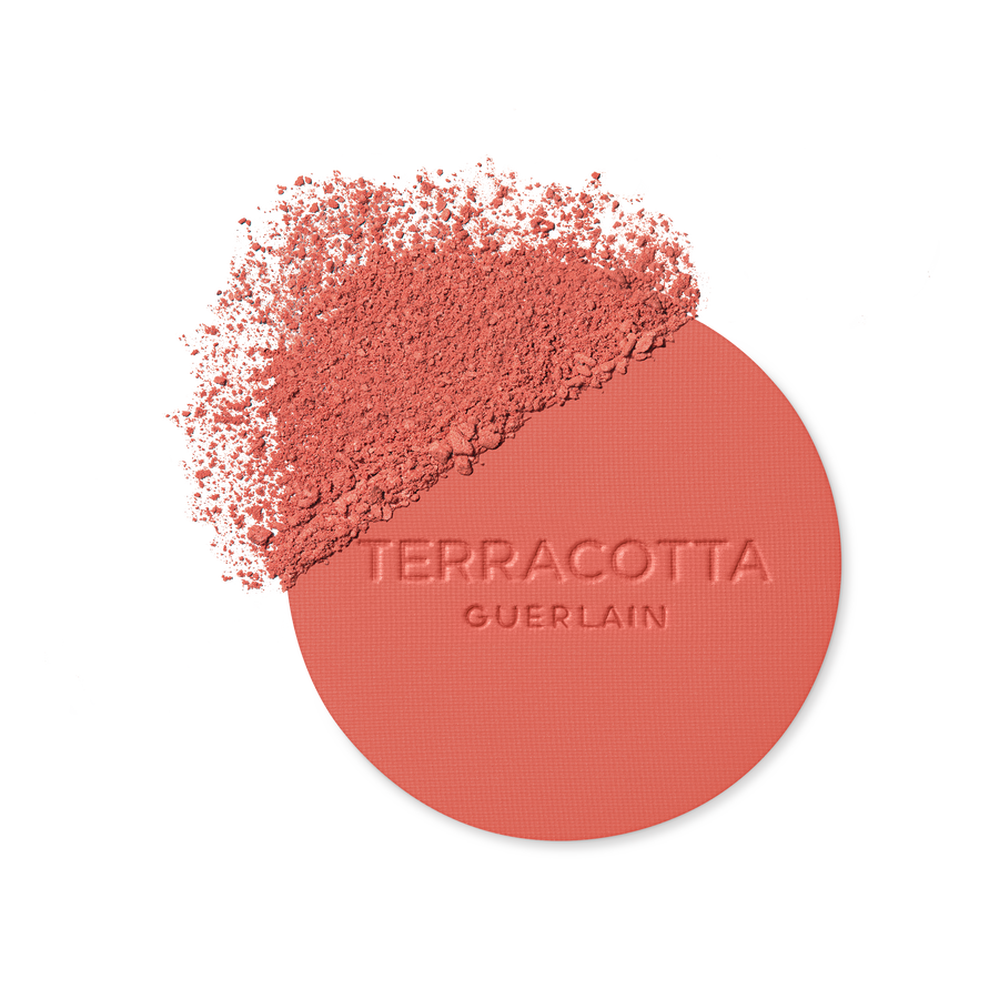 TERRACOTTA BLUSH ⋅ THE HEALTHY GLOW POWDER BLUSH - 90% NATURALLY ...