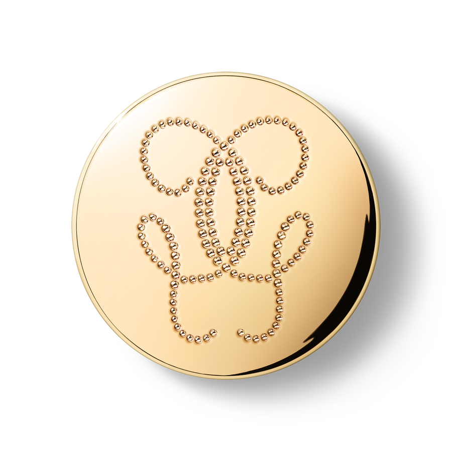 PARURE GOLD SKIN MESH CUSHION ⋅ PLUMPING & PERFECTING FRESH GLOW ...