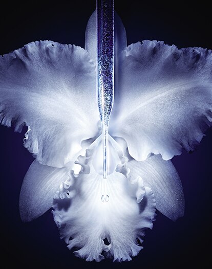 Orchidée Impériale | Líneas de cuidado facial excepcionales ...