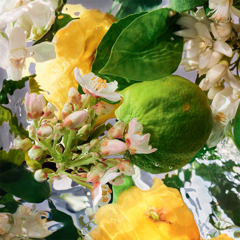 Aqua Allegoria ⋅ Bergamote Calabria - Eau de Toilette ⋅ GUERLAIN