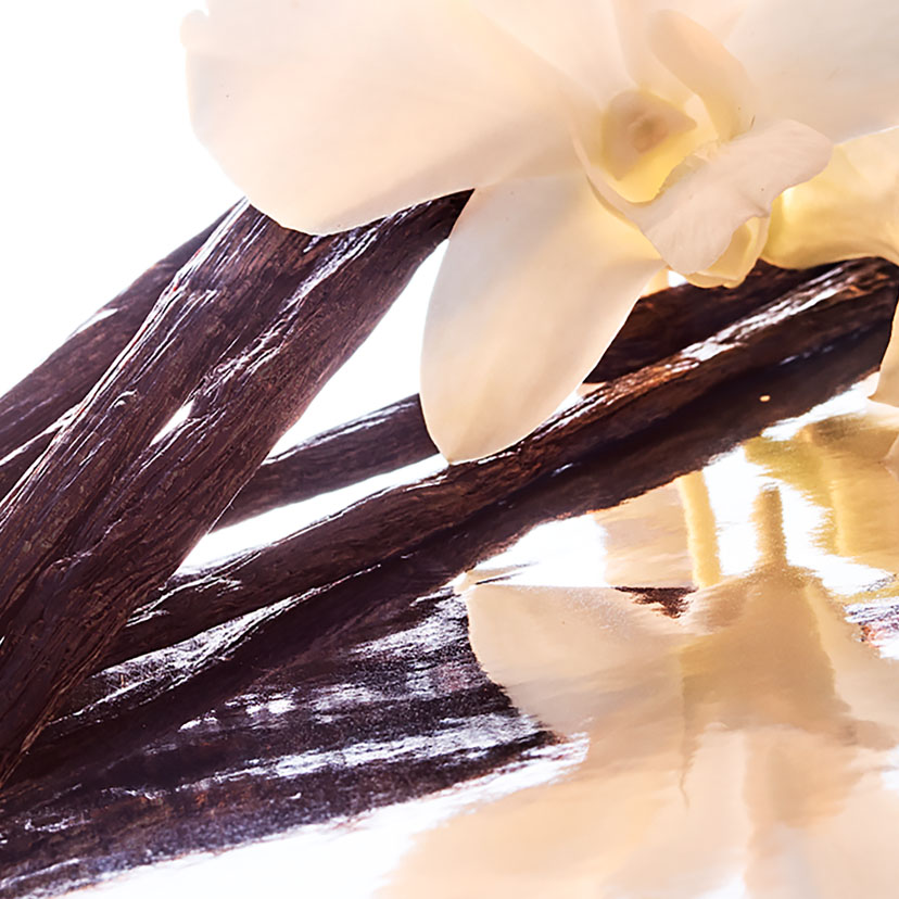 Mon Guerlain ⋅ Eau de Parfum ⋅ GUERLAIN